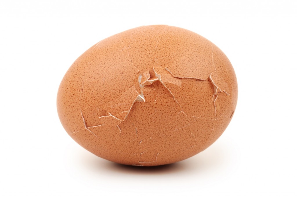 ¡Rompe el cascarón! – LA COLMENA