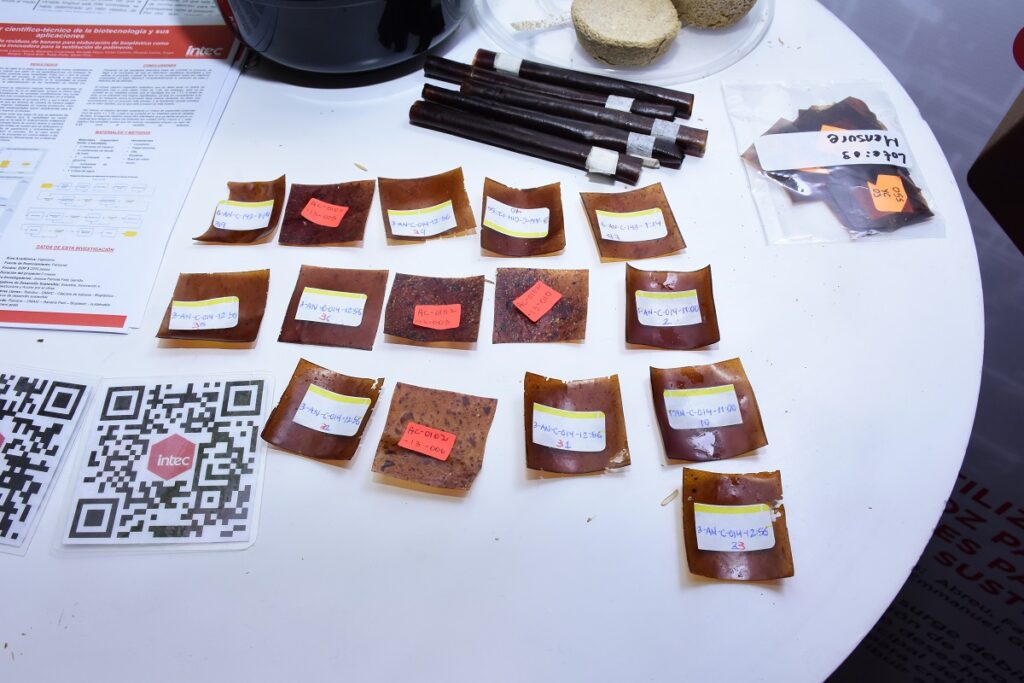 Sustituto de plástico hecho a base de cáscara de arroz – LA COLMENA